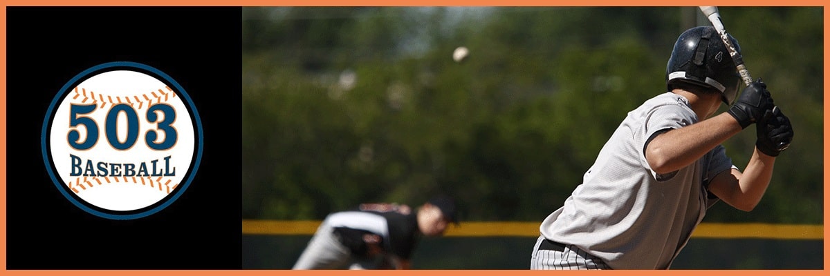 Gallery - 503 Baseball